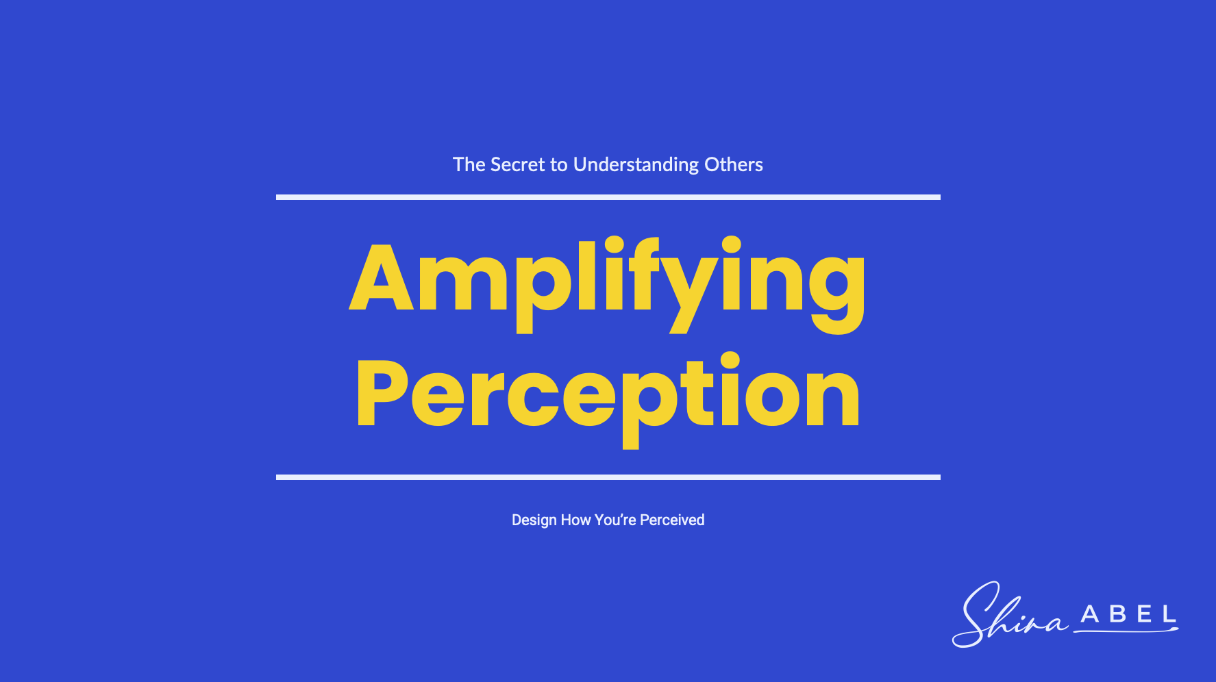 Resources | The Perception Formula | Shira Abel